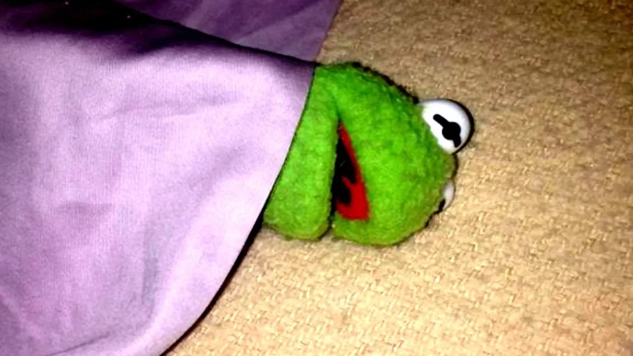 Perfectly Cut Screams Memes 77