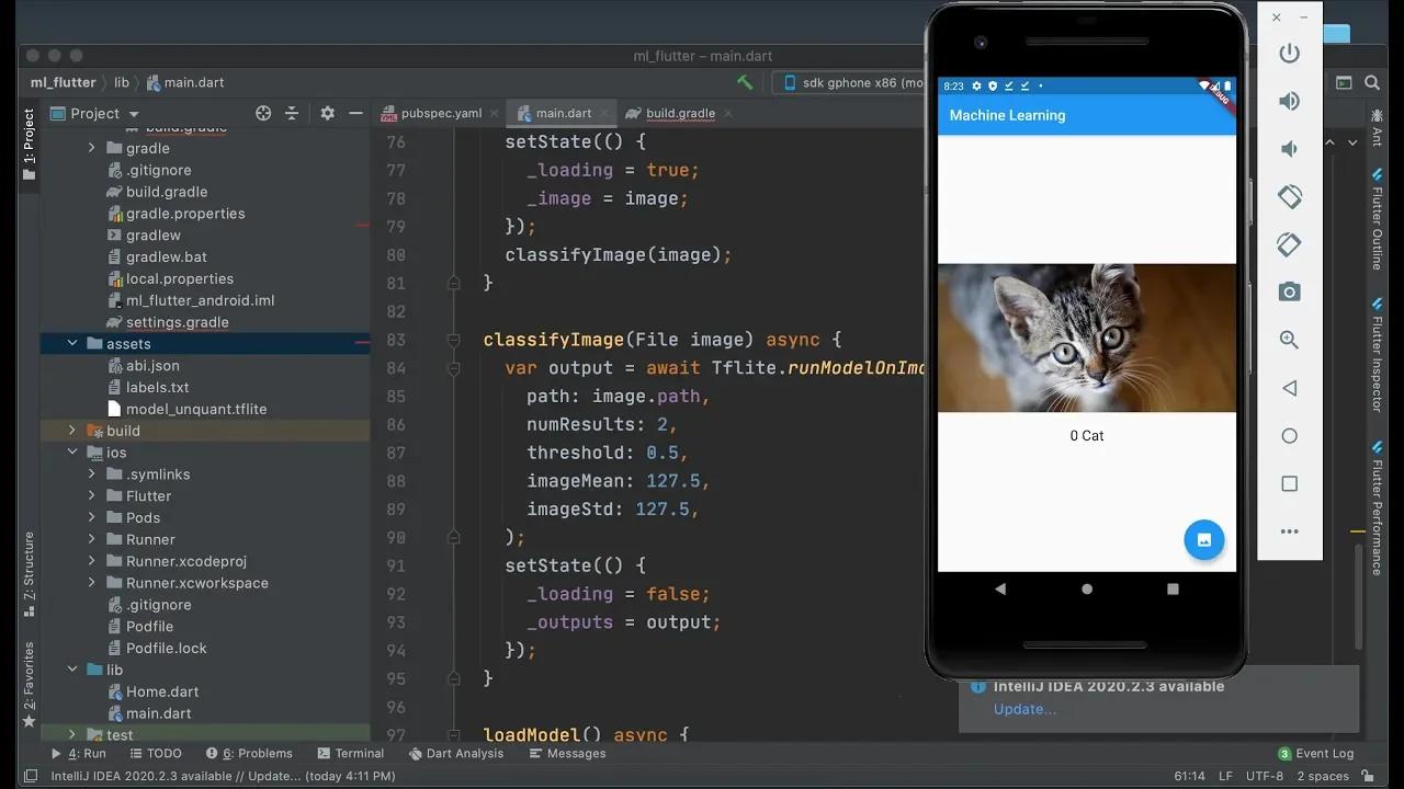 1 Tensorflow Lite And Flutter Machine Learning Model For Ios And Android 0580