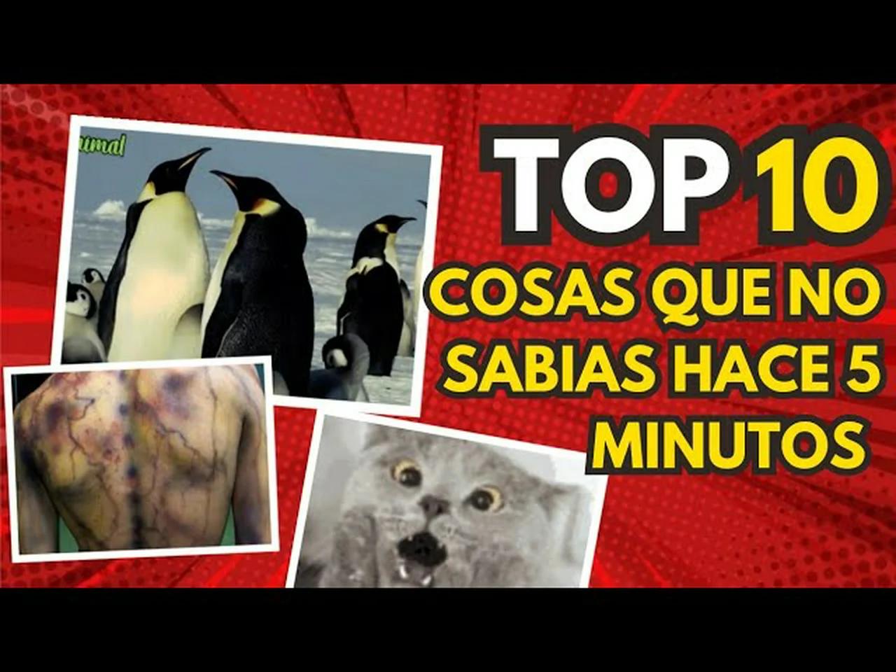 10 Cosas que no sabias hace 5 minutos