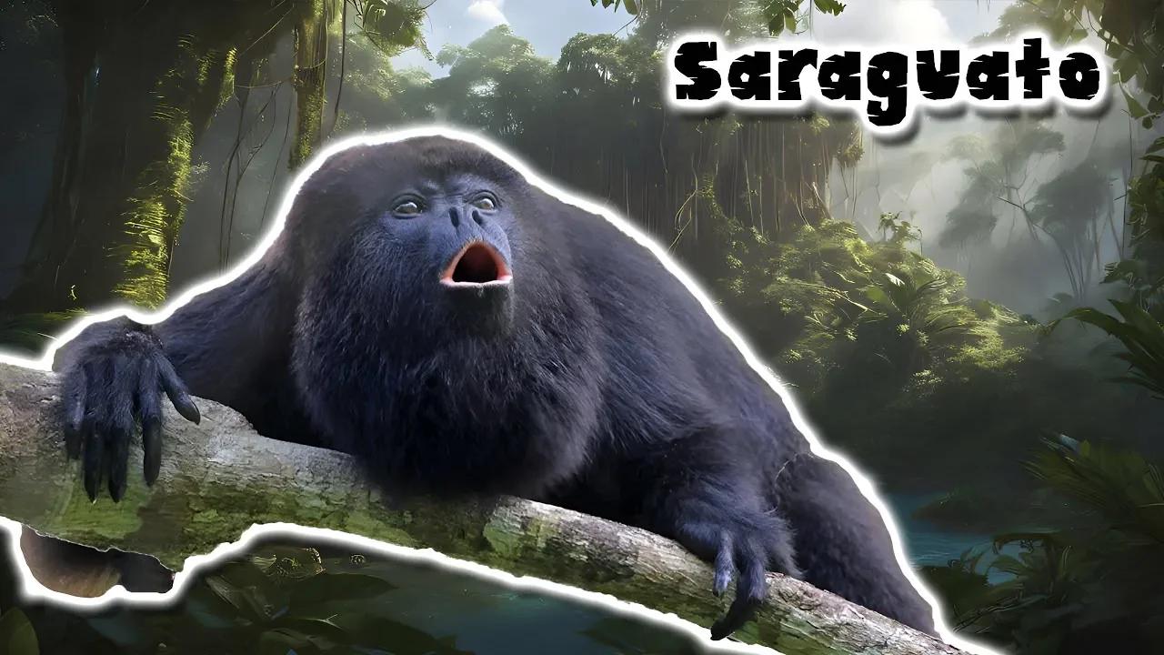 Saraguato Negro: los ecos del ruidoso mono aullador negro - documental ...