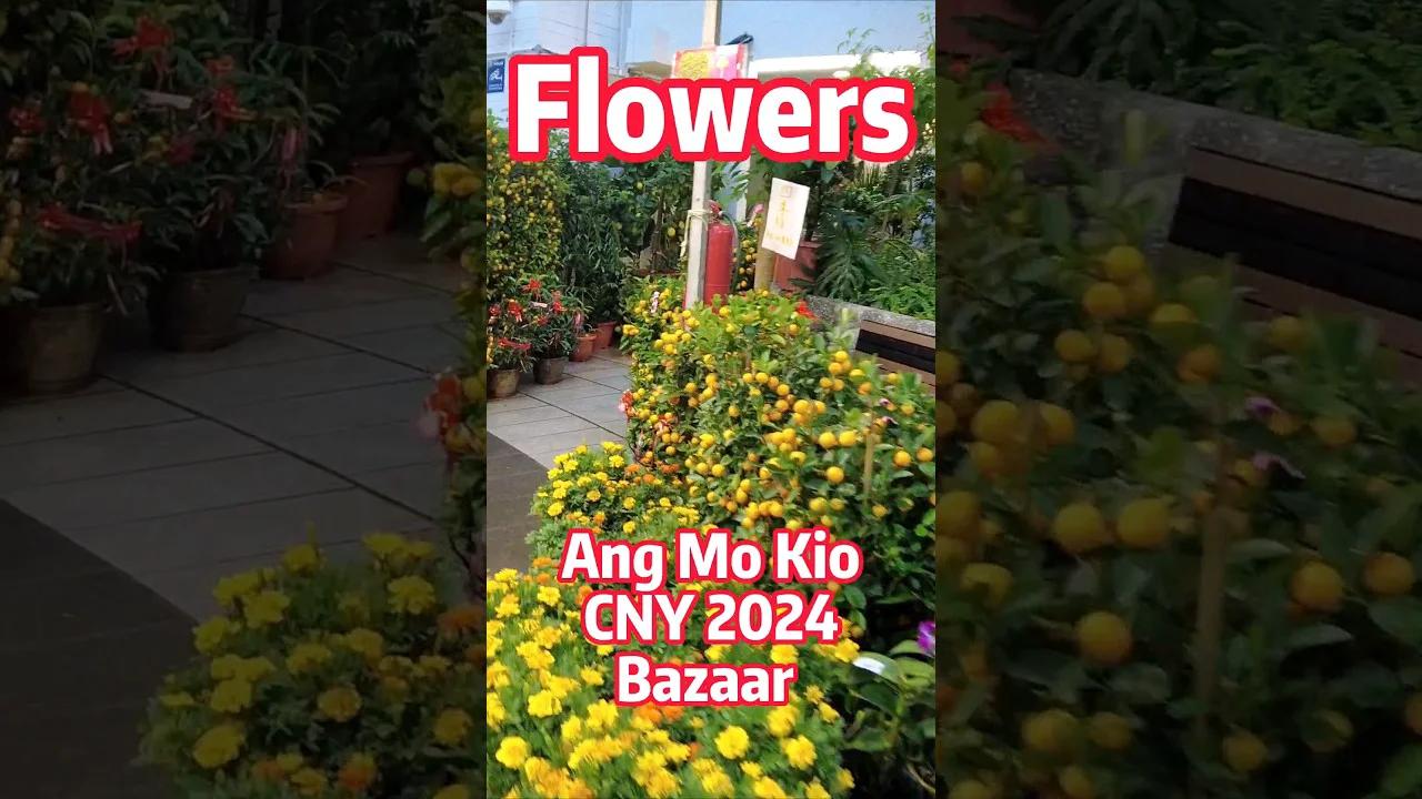 🇸🇬 Singapore Ang Mo Kio Chinese New Year Bazaar Flowers #cny2024 # ...