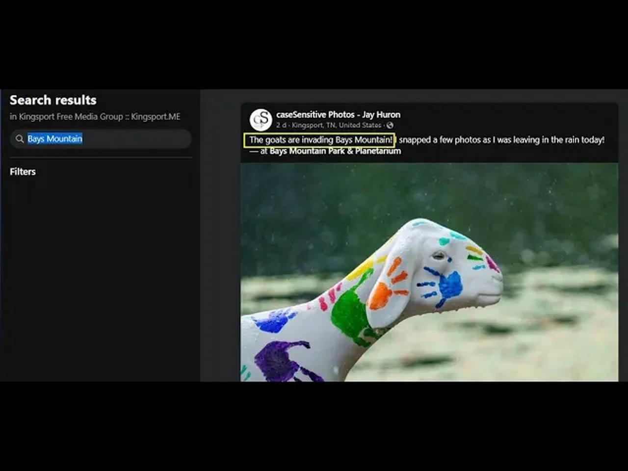 Tim Mullen The Goats Are Invading Bays Mountain With HexaGoat Art - Cat ...