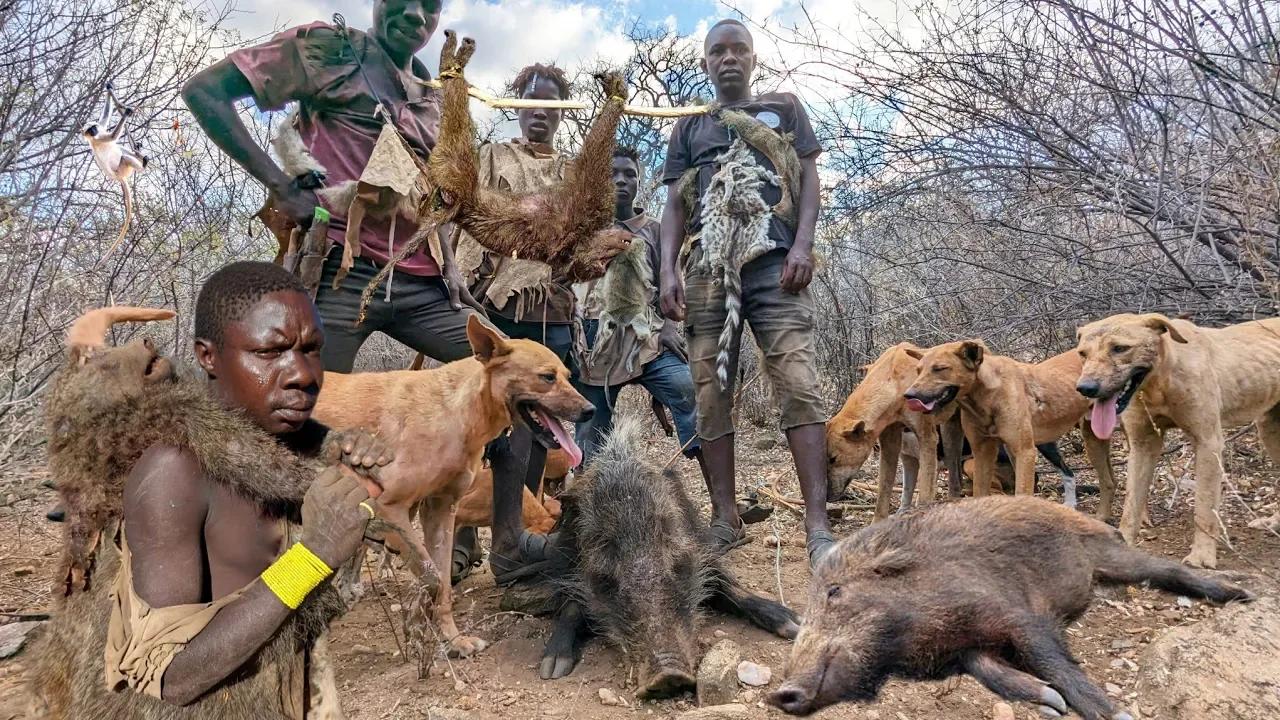 Hadzabe Tribe - The Most Antiquity Hunter Tribe Of Africa | Bush-pig ...