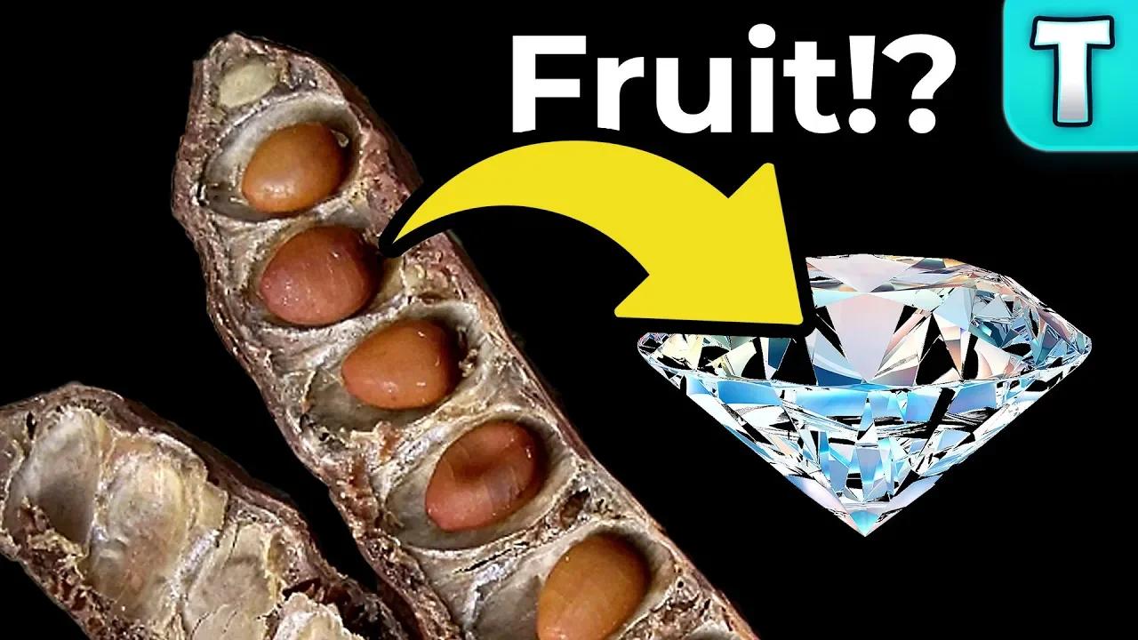 Diamond Carat Comes from a Fruit | Carob Fruit | Fruits You've Never ...