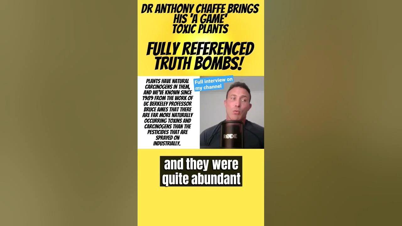 Dr Anthony Chaffee: Is the carnivore diet healthy?