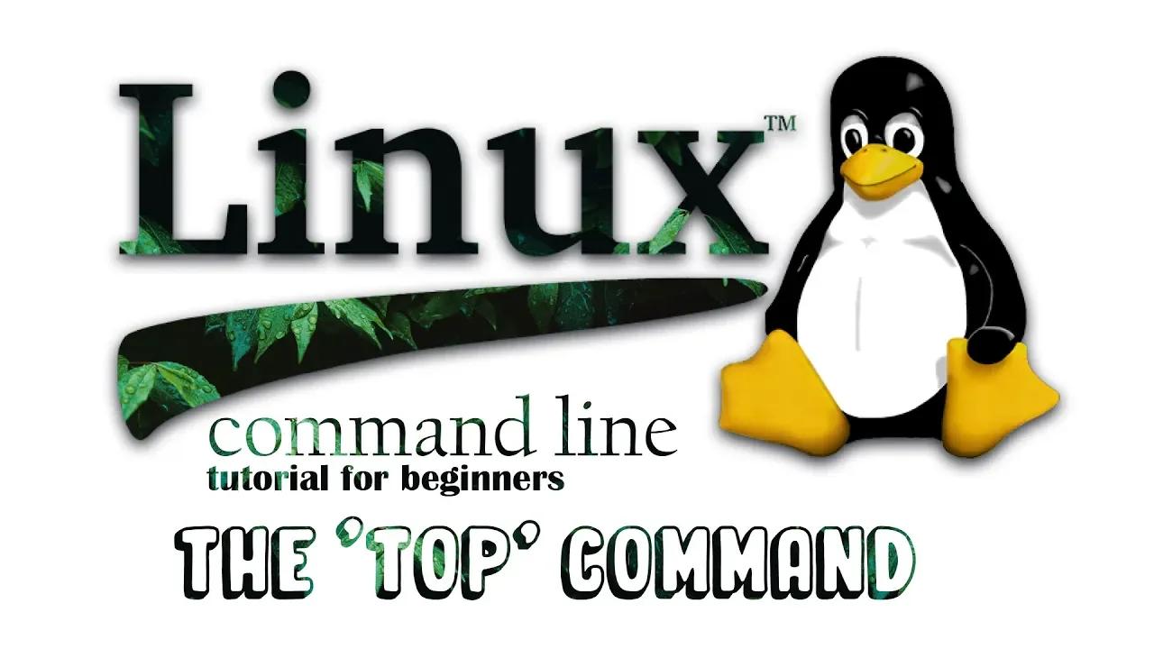 Linux Command Line Tutorial For Beginners 5 Top Command