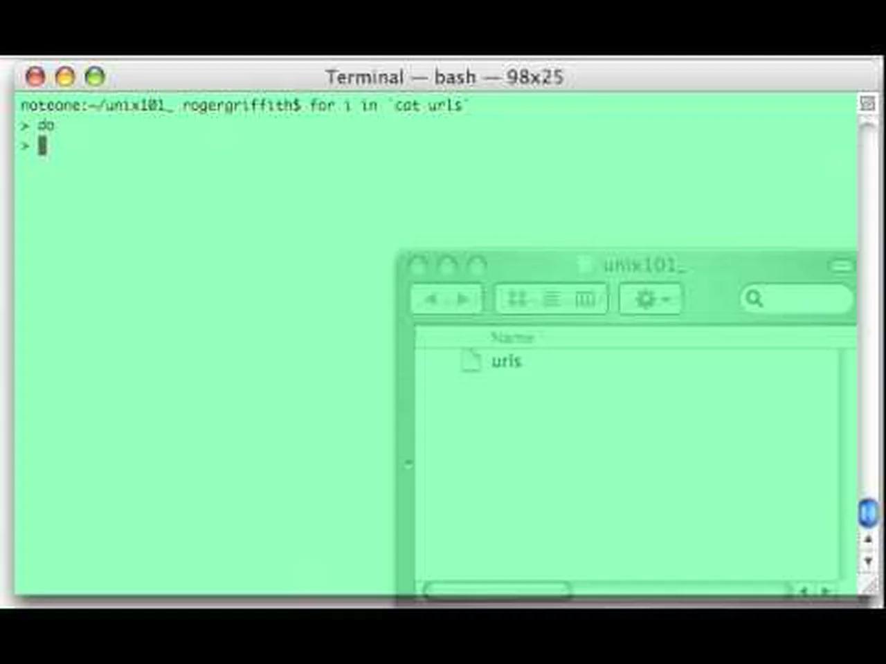 Unix 101 Commands: for loop