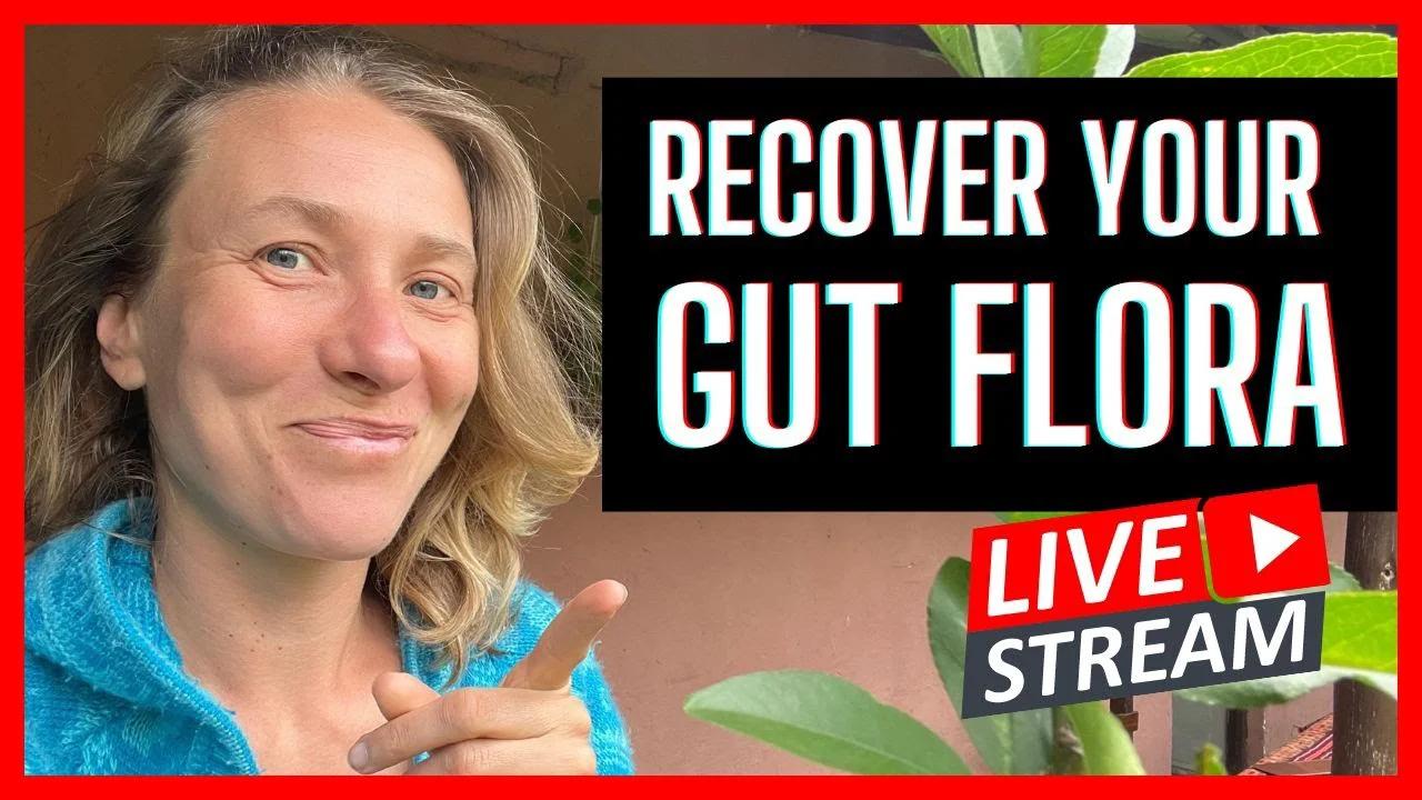 How To Recover Your Gut Microbiome Probiotics Live Q A