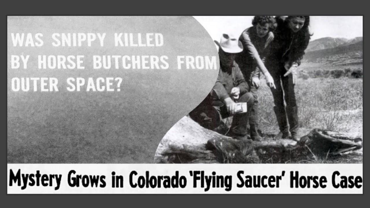 "Was Snippy Killed By Horse Butchers From Outer Space?"