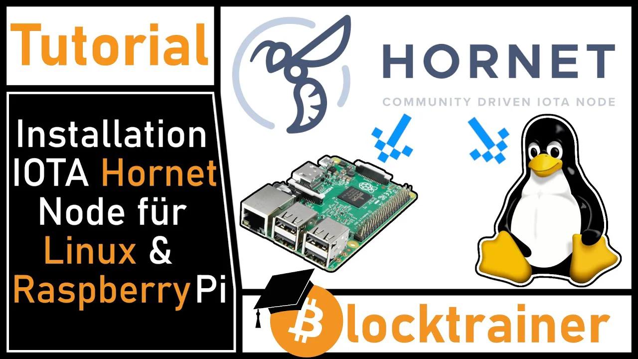 Anleitung: IOTA Hornet Node Installation auf Linux und Raspberry Pi!