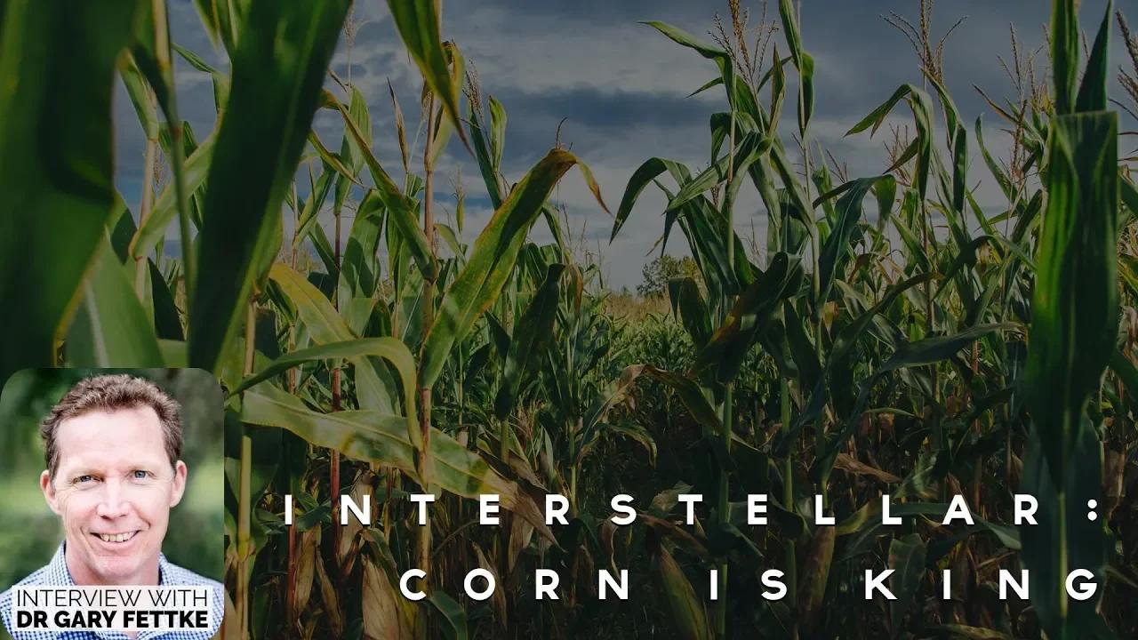 Interstellar: Corn is King