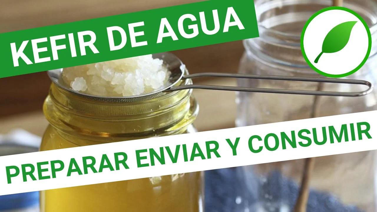 Kefir de agua como se prepara como se consume y como se envia