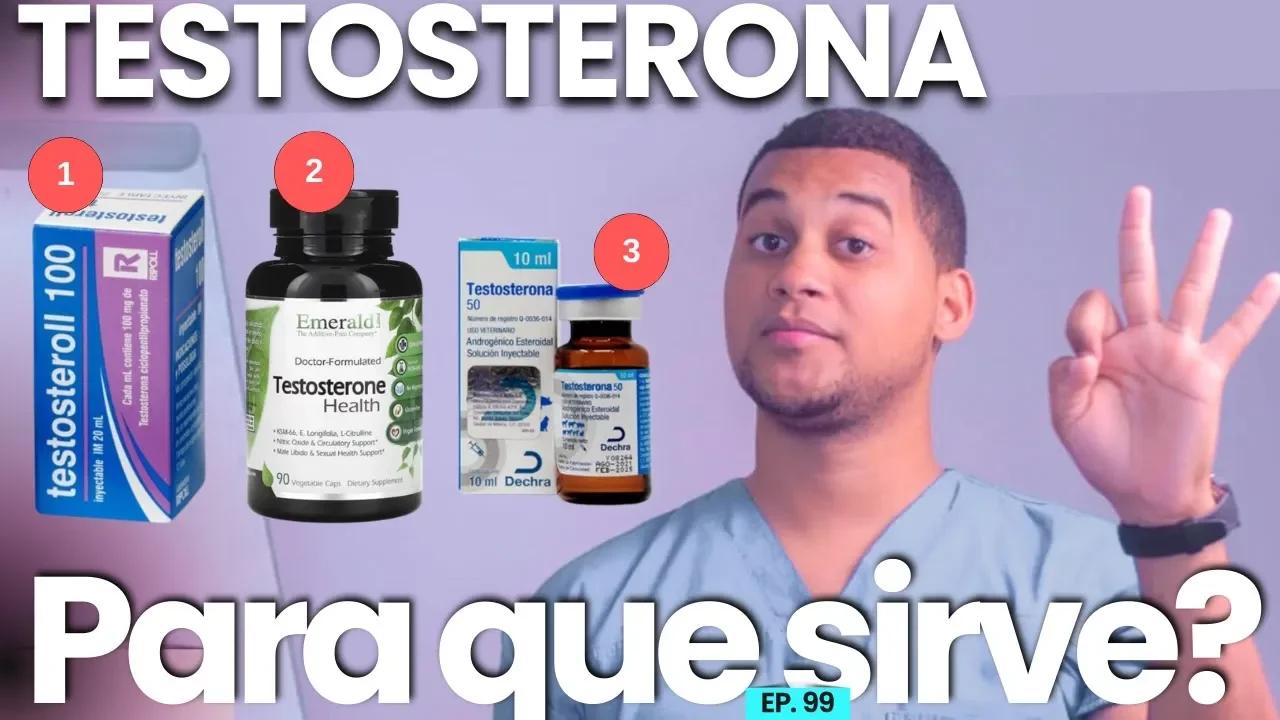 TESTOSTERONA PARA QUE SIRVE | 3 COSAS