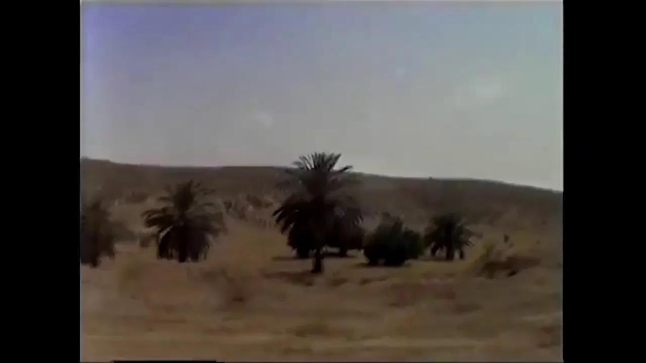 Baltimore Chop - Sand Waves