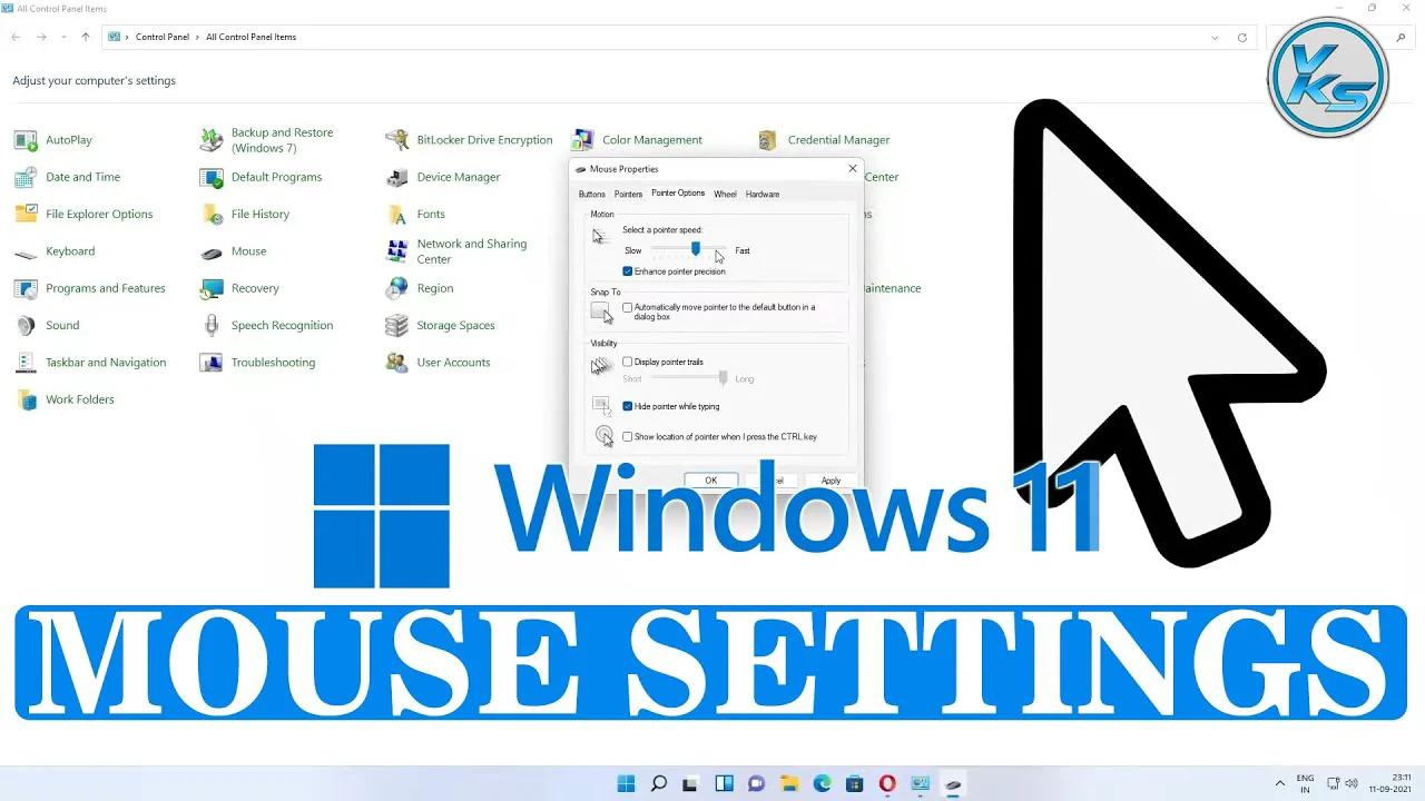 Windows 11 Mouse Settings