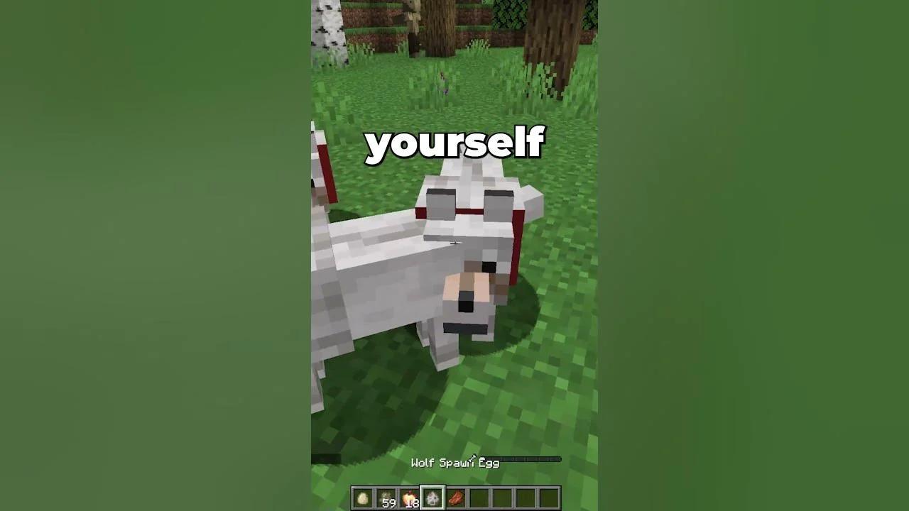 The Wolf Origin Explained #minecraft #minecraftorigins