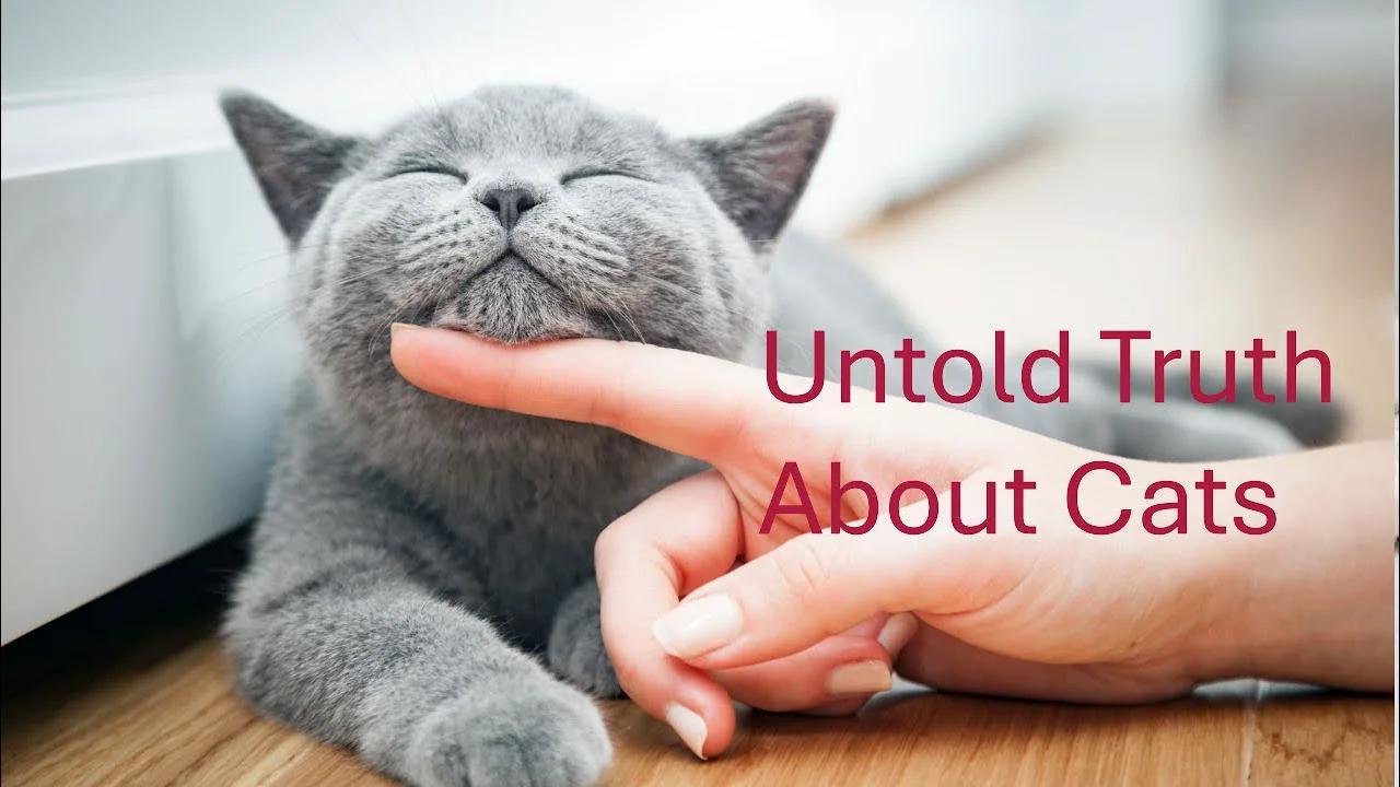 The Untold Truth About Cats: What You Didn't Know!