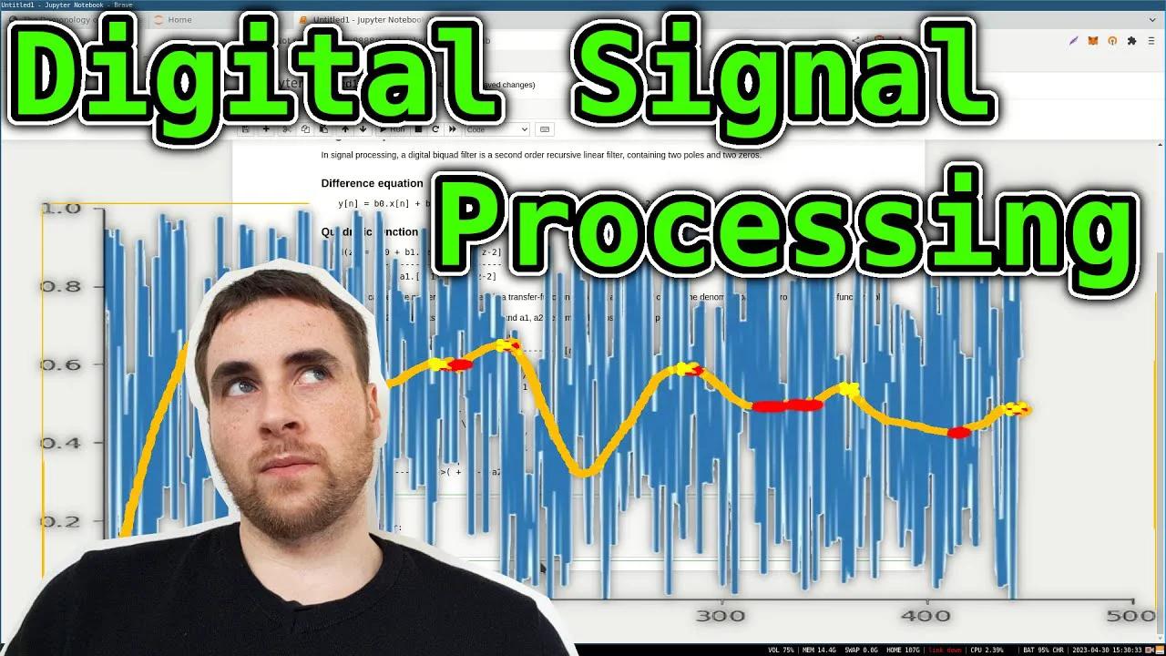 Digital Signal Processing (DSP) - [ SIGNAL FROM NOISE ]