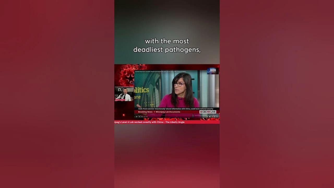 Uncovering the Connection: Investigating the Origins of COVID-19