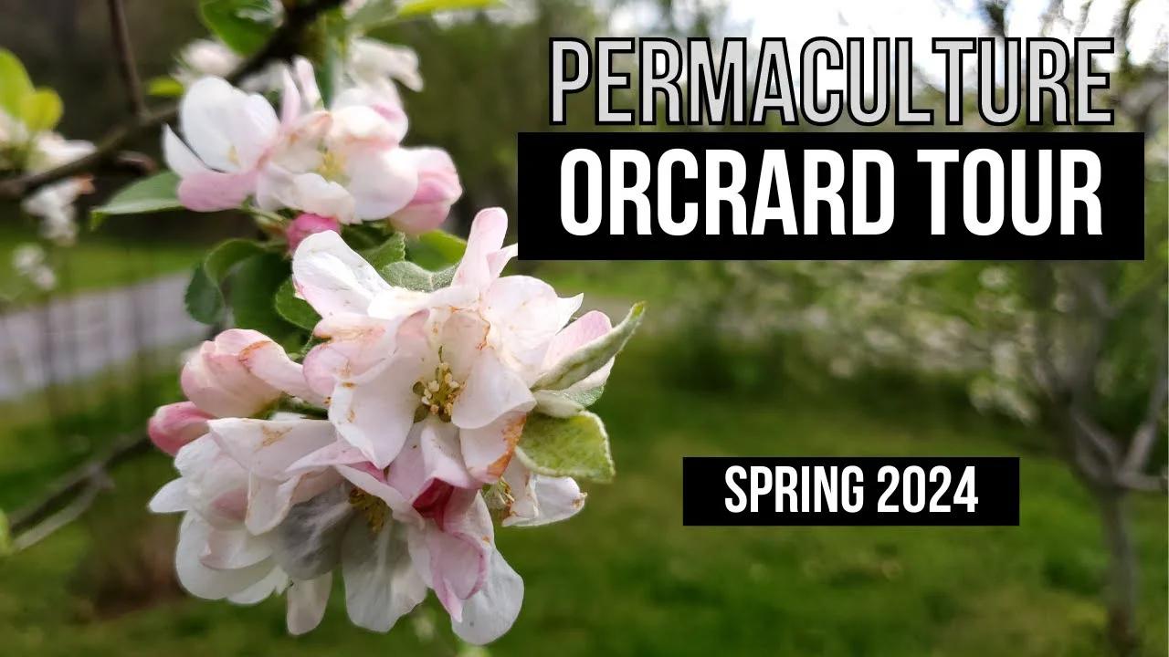 orchard tour LF