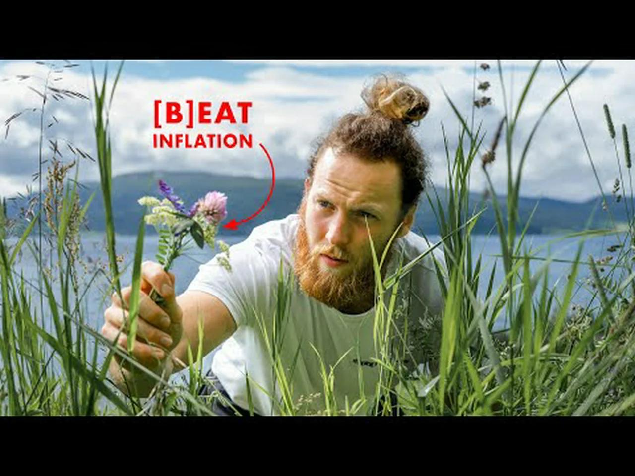 10 common wild edible plants