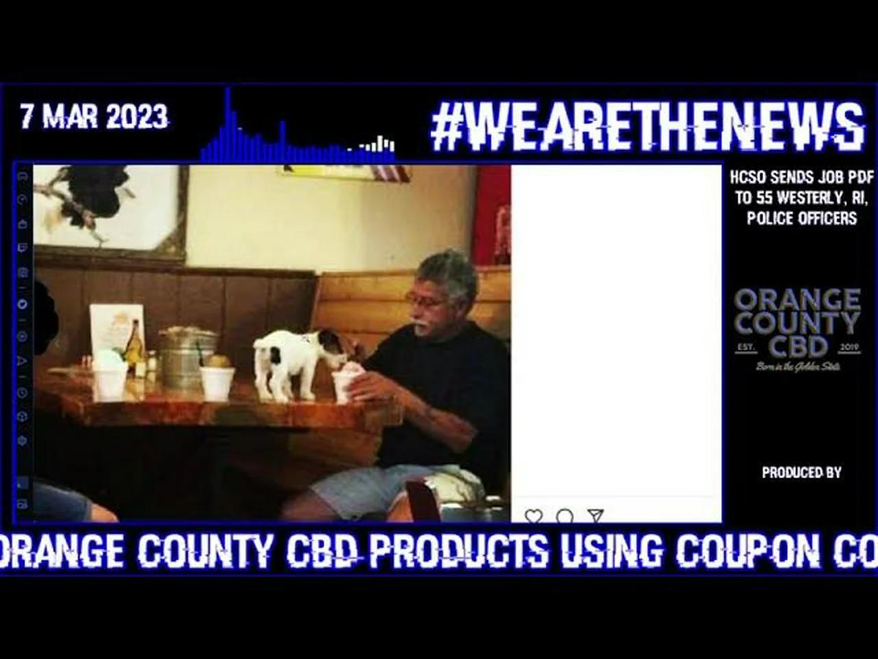 Tim Mullen Horses and Puppy Dogs