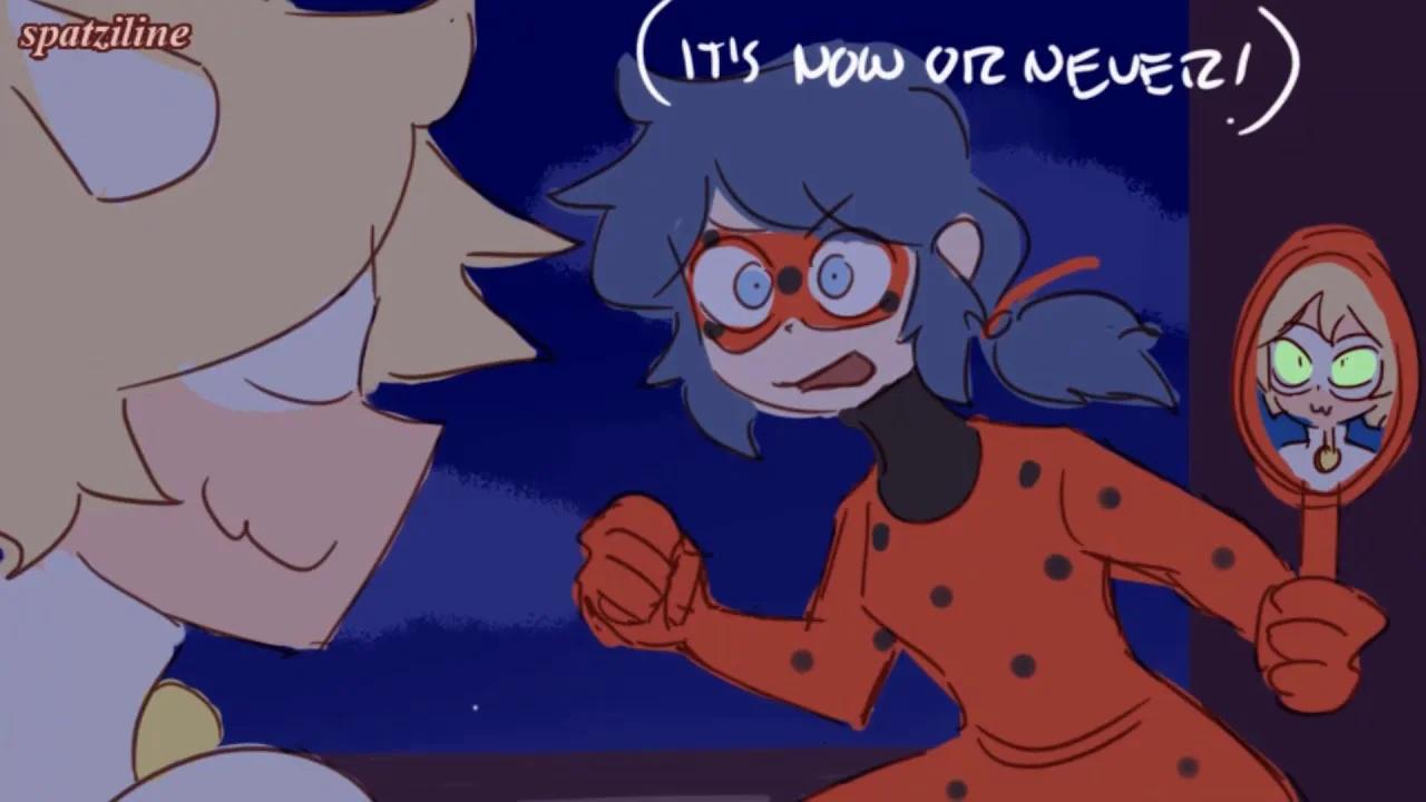 Miraculum Biedronka i Czarny Kot [Comic Dub] Biały Kot ( Wyniki Konkursu)