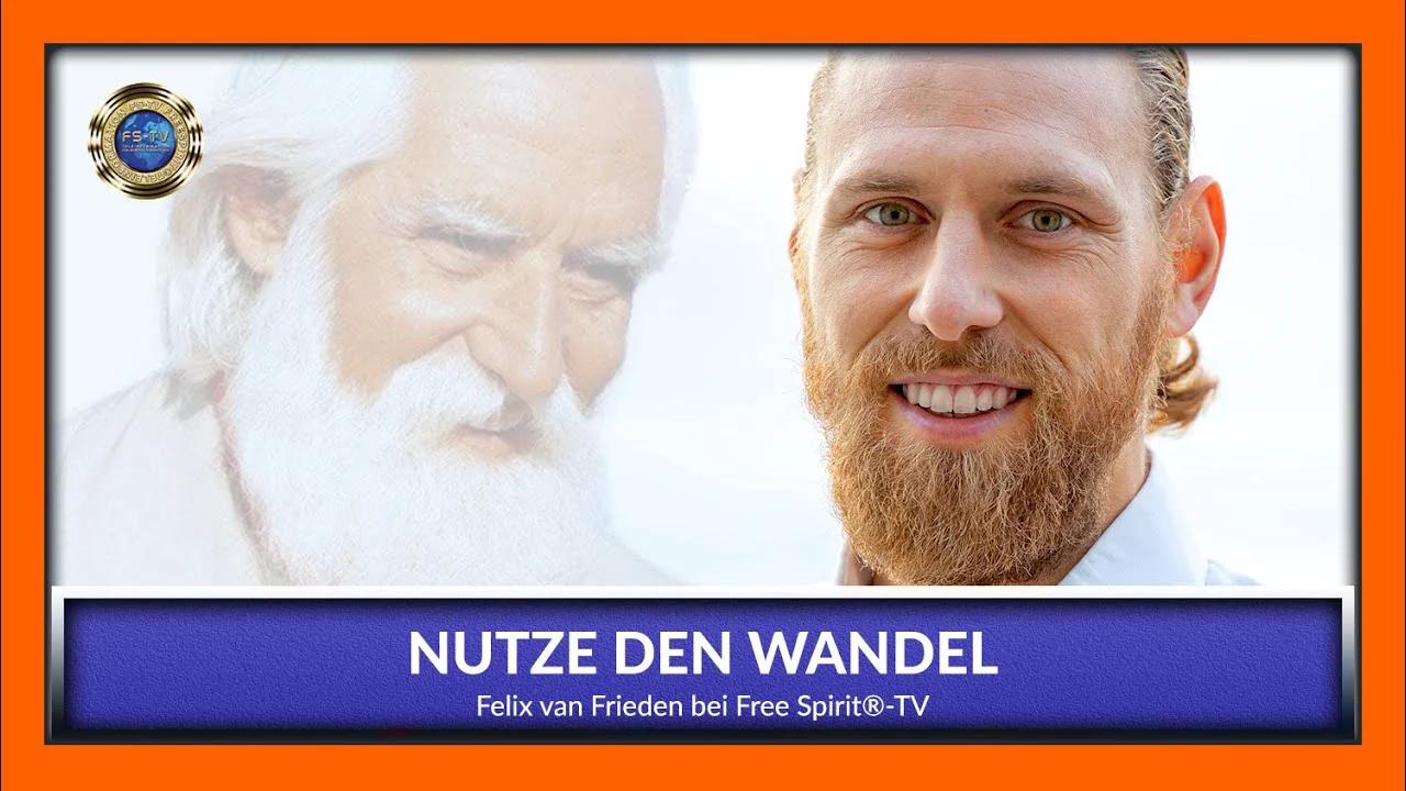 Nutze den Wandel - Felix van Frieden