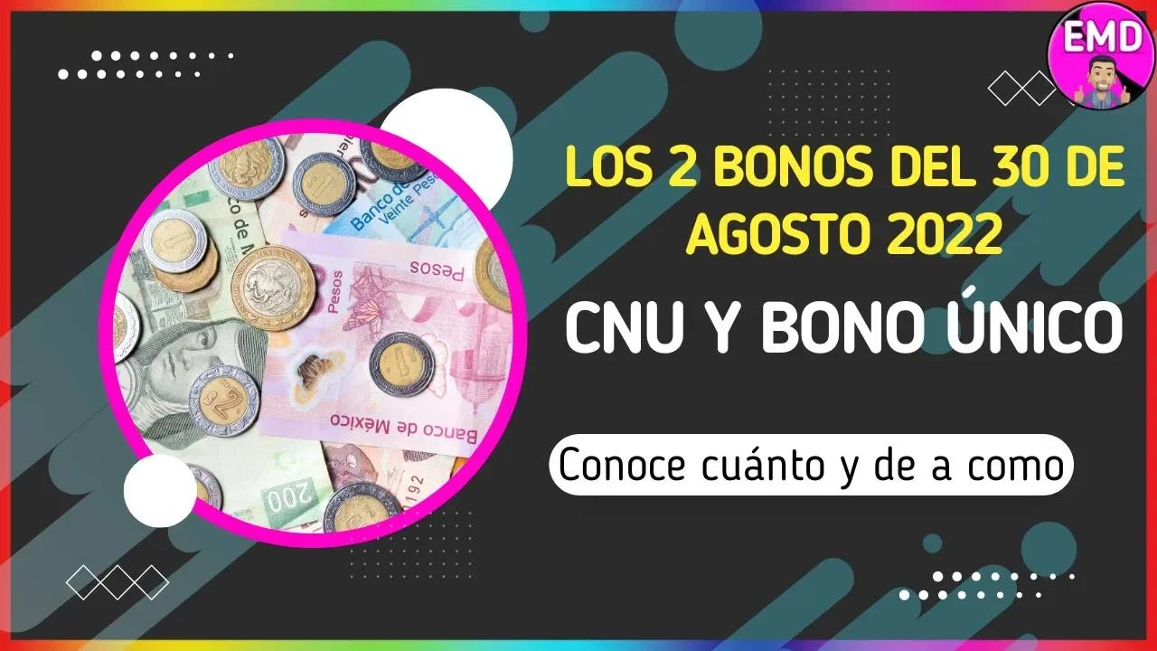 Los 2 Bonos docentes CNU y Bono Único Del 30 De Agosto 2022