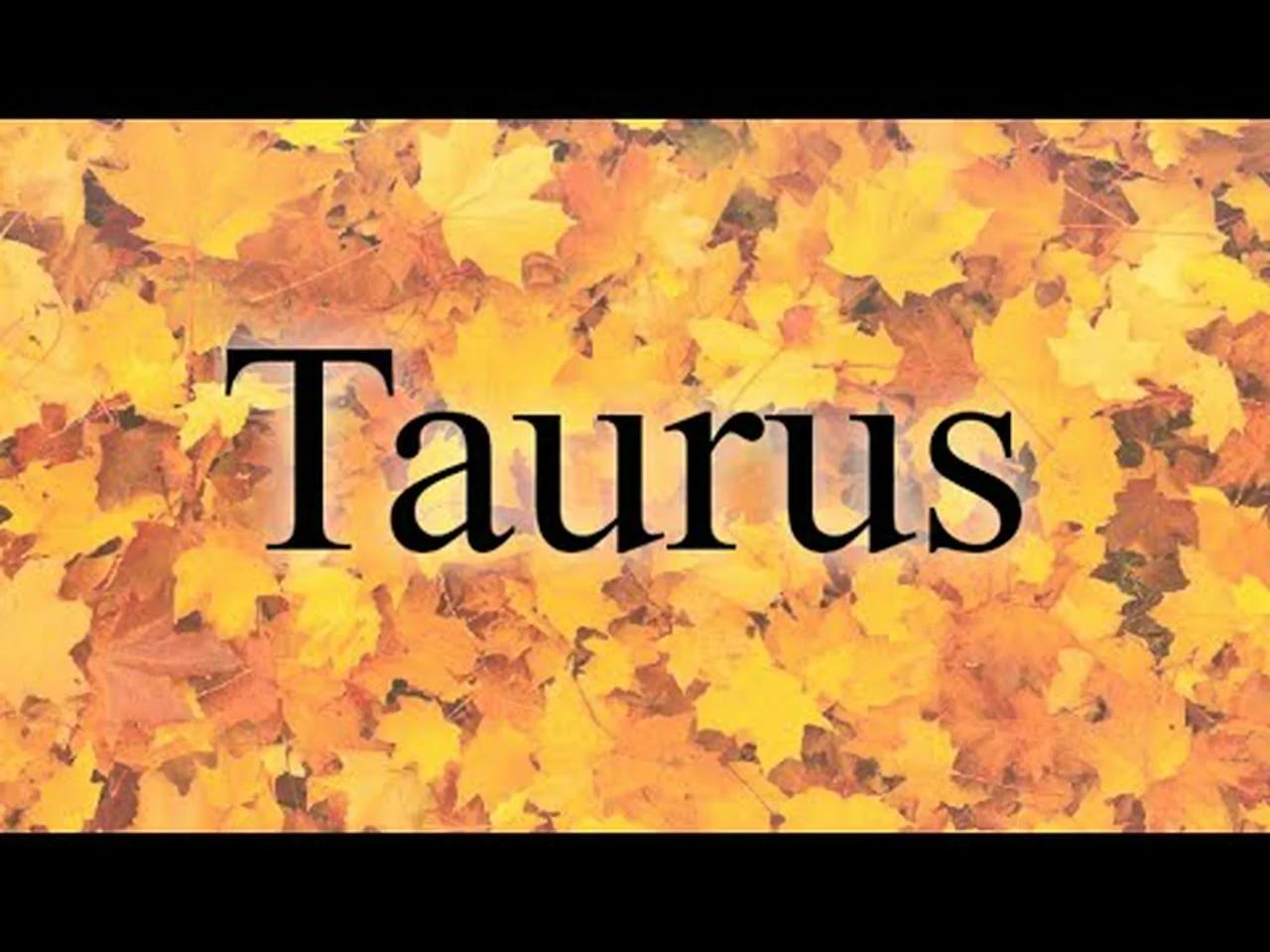 Taurus ♉️ Medium Message from your Neighbor