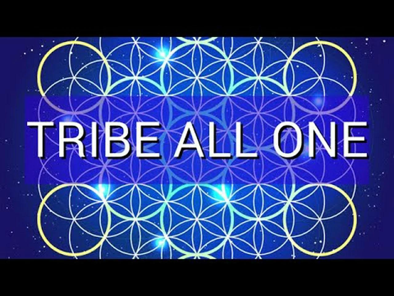 TRIBE ALL ONE | Find your Tribe | Build our future | Stay in balance