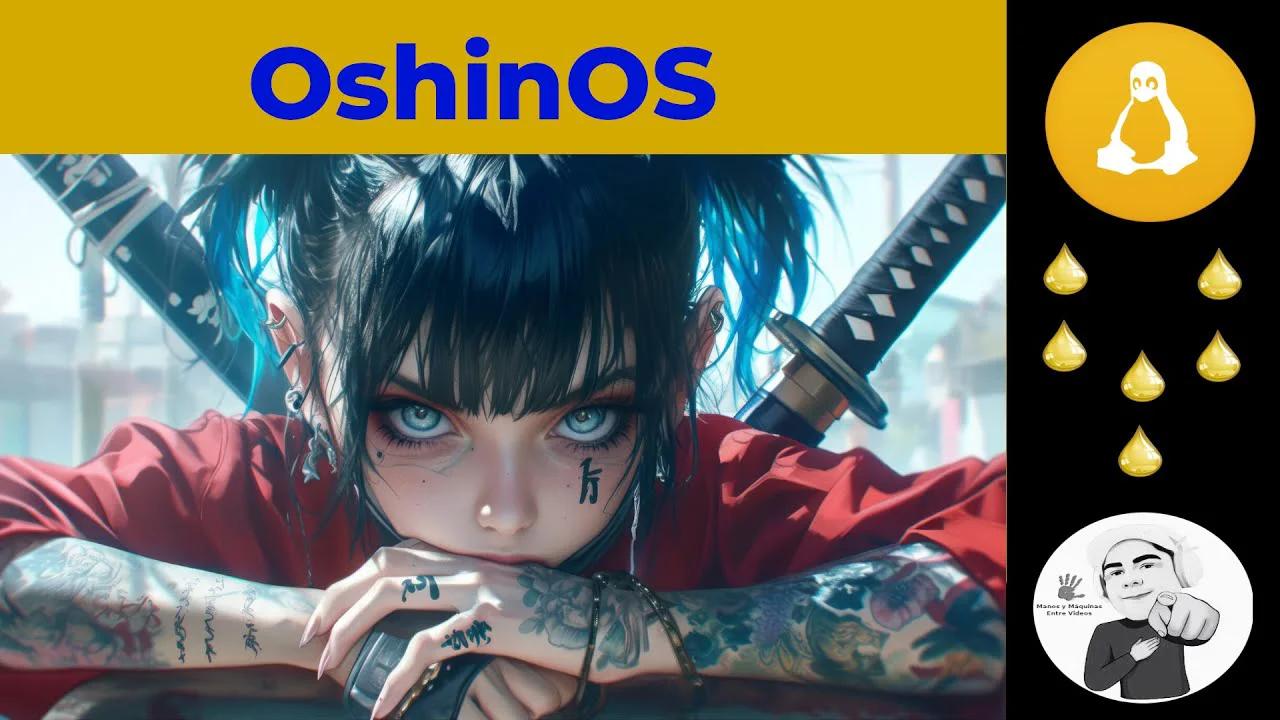 Oshin OS Arch con seguridad para usuarios