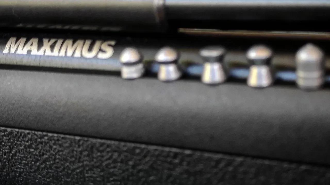 Mini Review Benjamin Maximus PCP