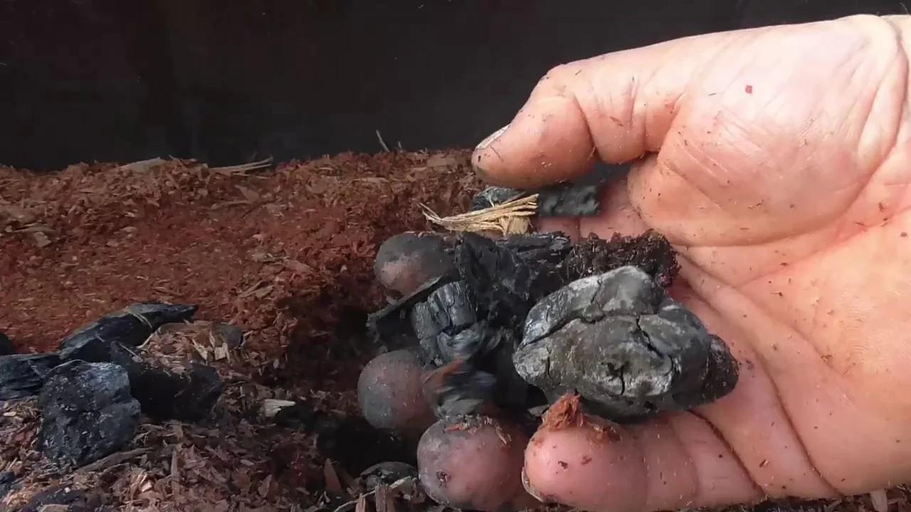 Biochar The Simple Method Without Water