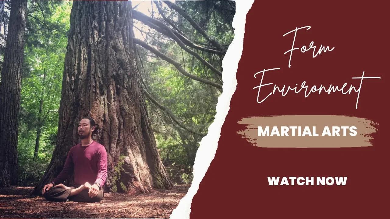 How Forms Are Derived From Their Environment Ft Sifu Paul Wang