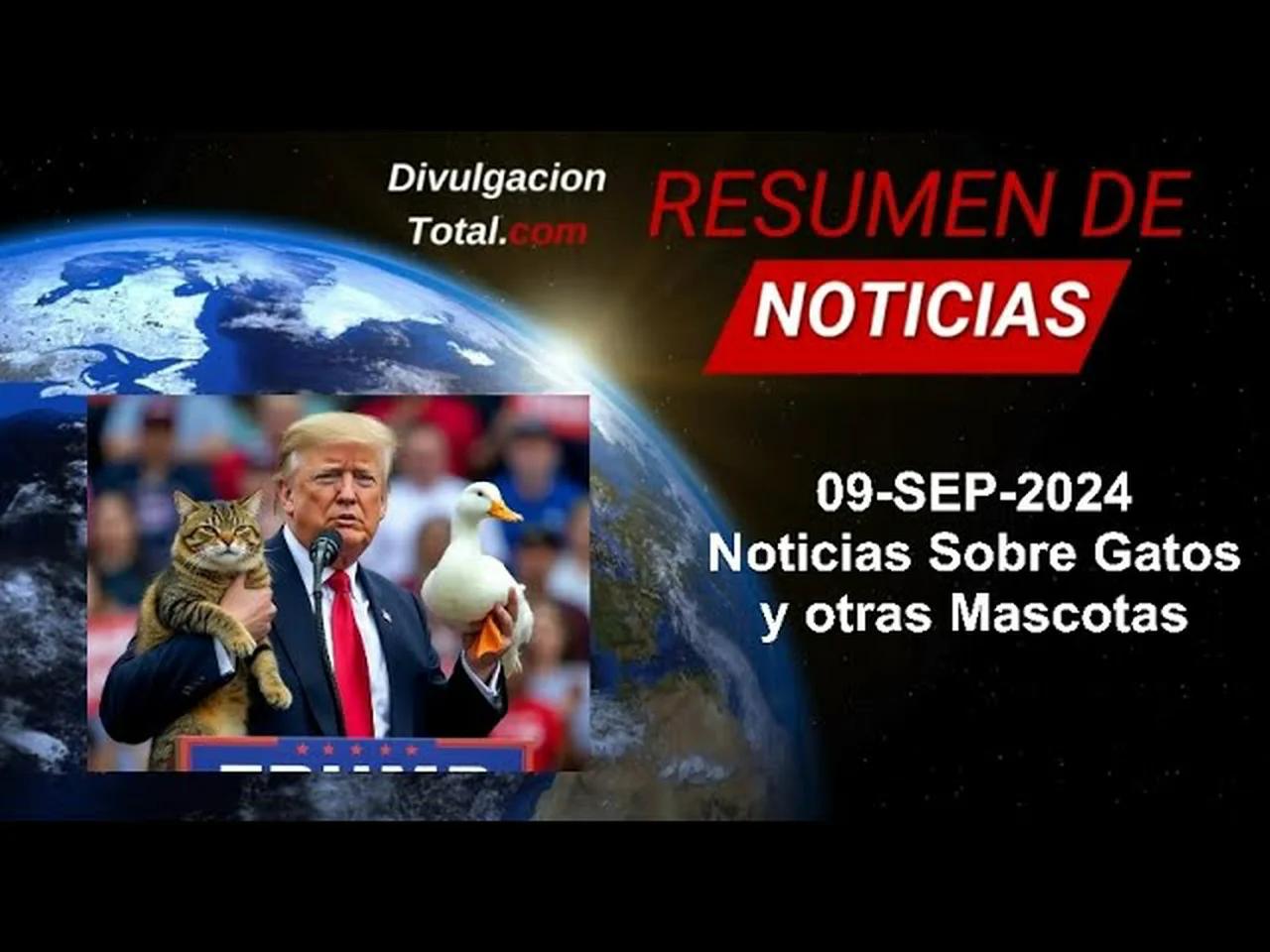 09-SEP-2024 Noticias Sobre Gatos y Otras Mascotas