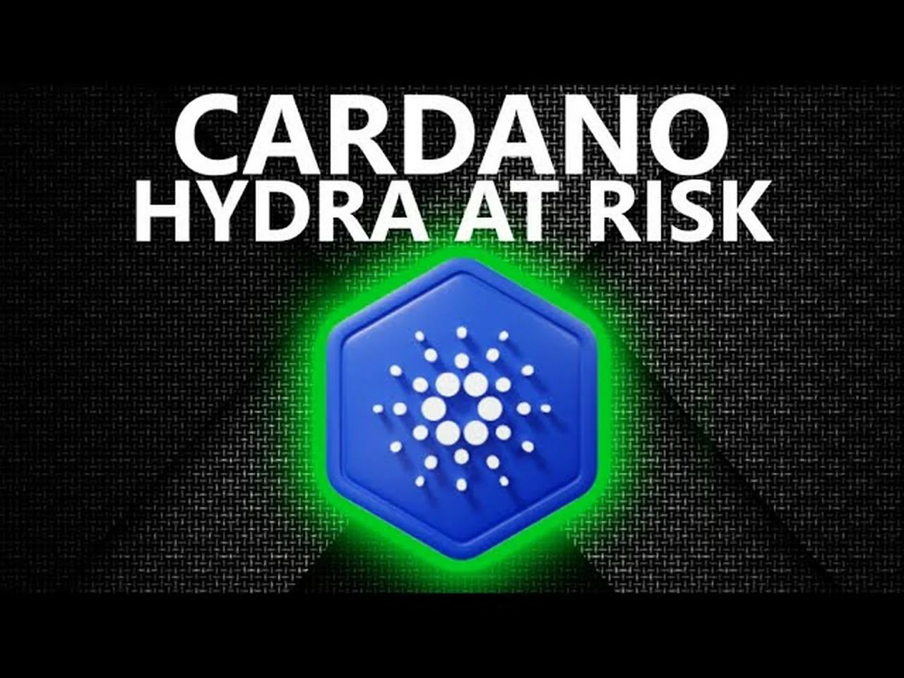 Founder: CARDANO HYDRA NOT NEEDED