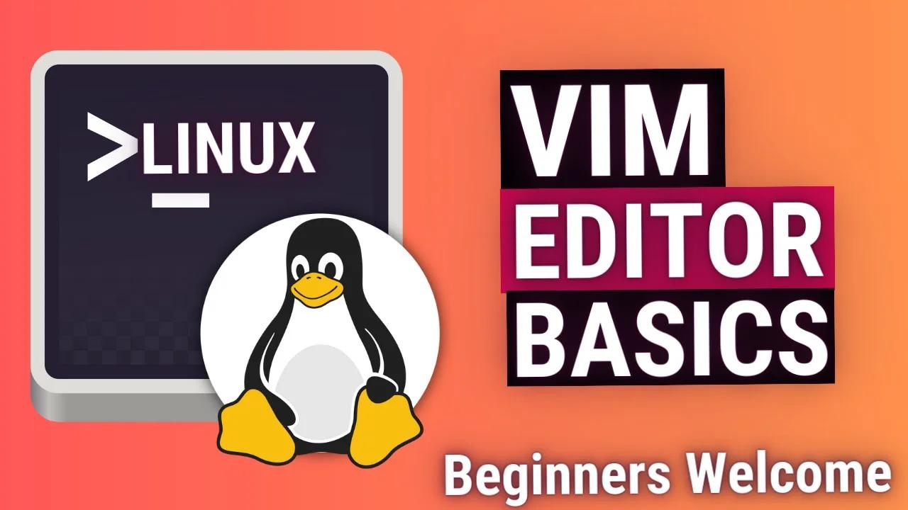 Vim Text Editor Basics How To Use Vim On Linux Ubuntu Beginners Guide 4928
