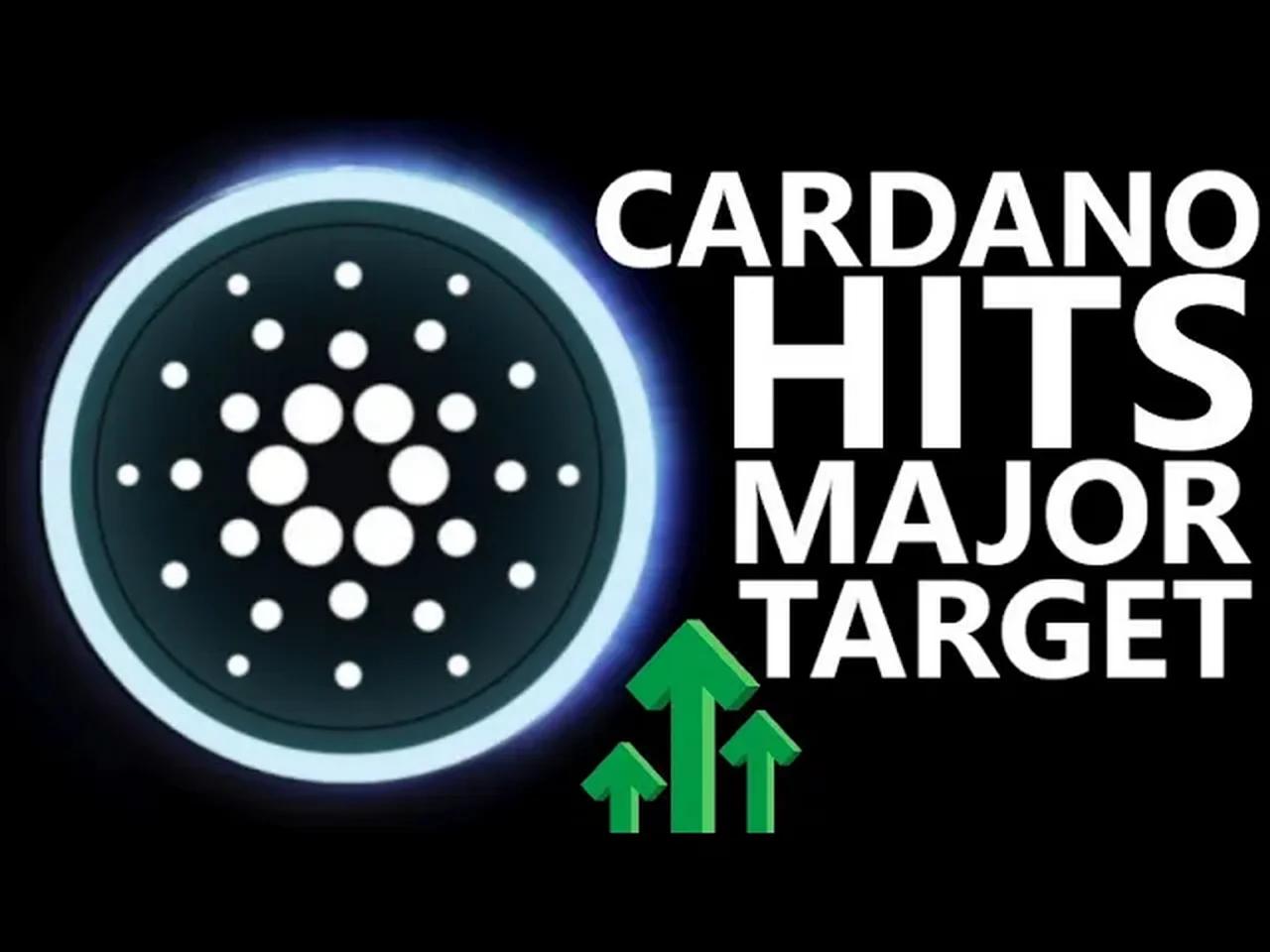 CARDANO 50 000