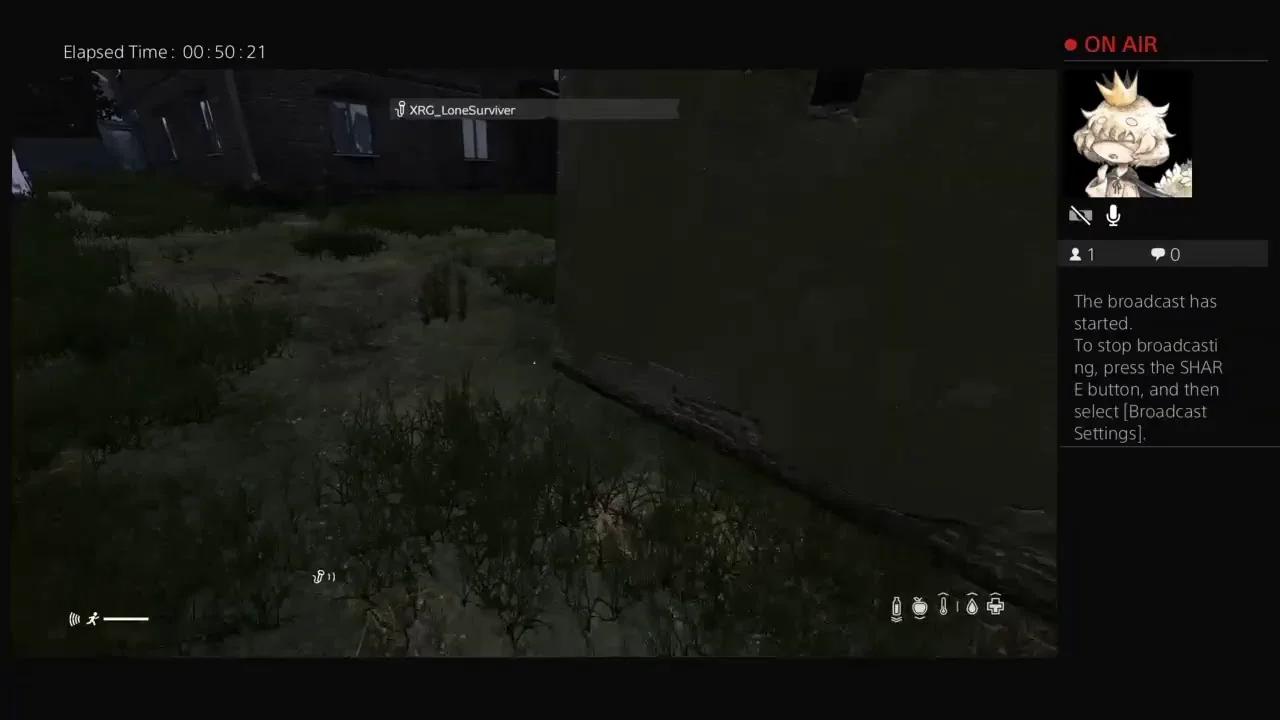 DayZ. Doing some conquest