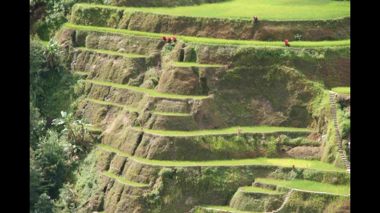 The RIPPLE EFFECT~ LETS GO INSIDE A MELTED BUILDING + TERRACING X ...