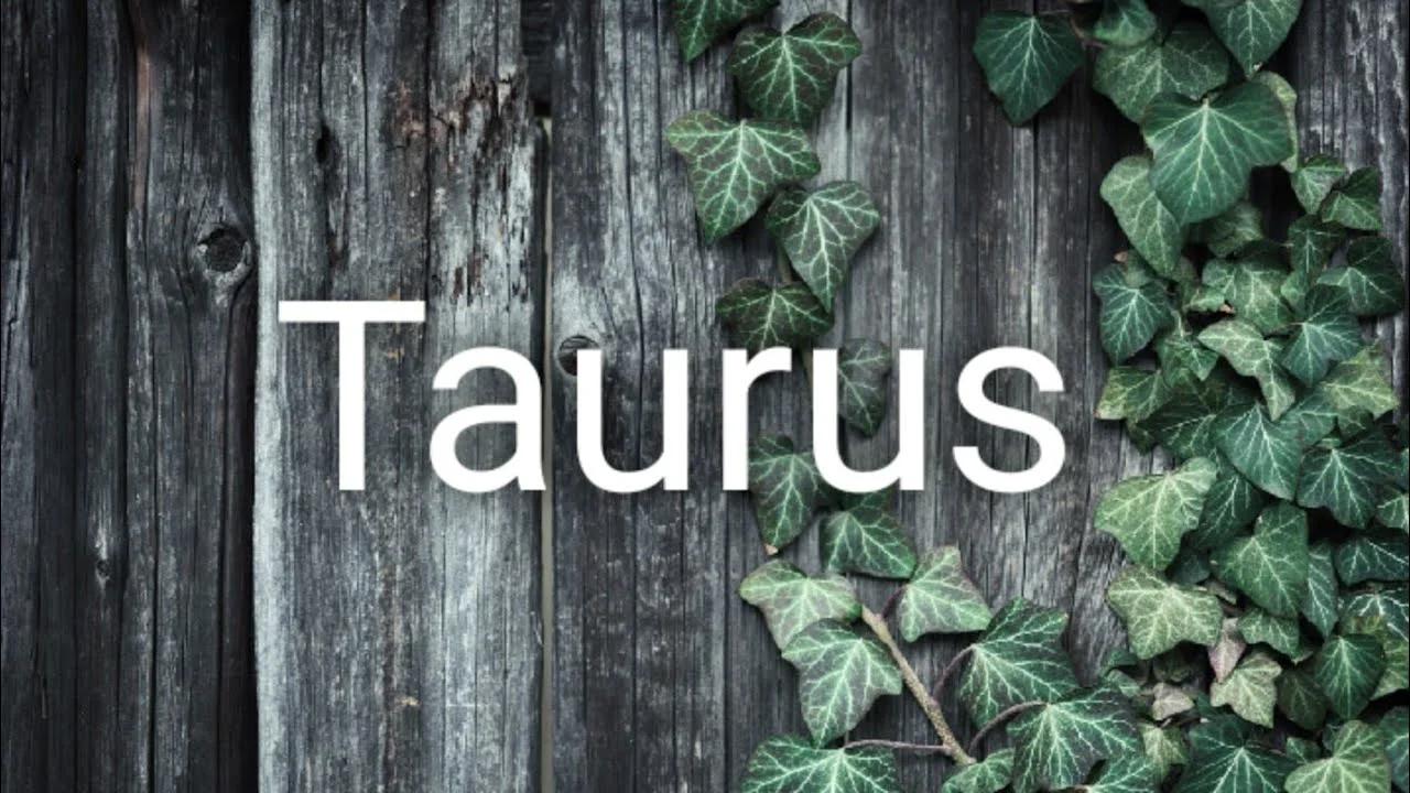 Taurus ♉️ Medium Message from your Grandson