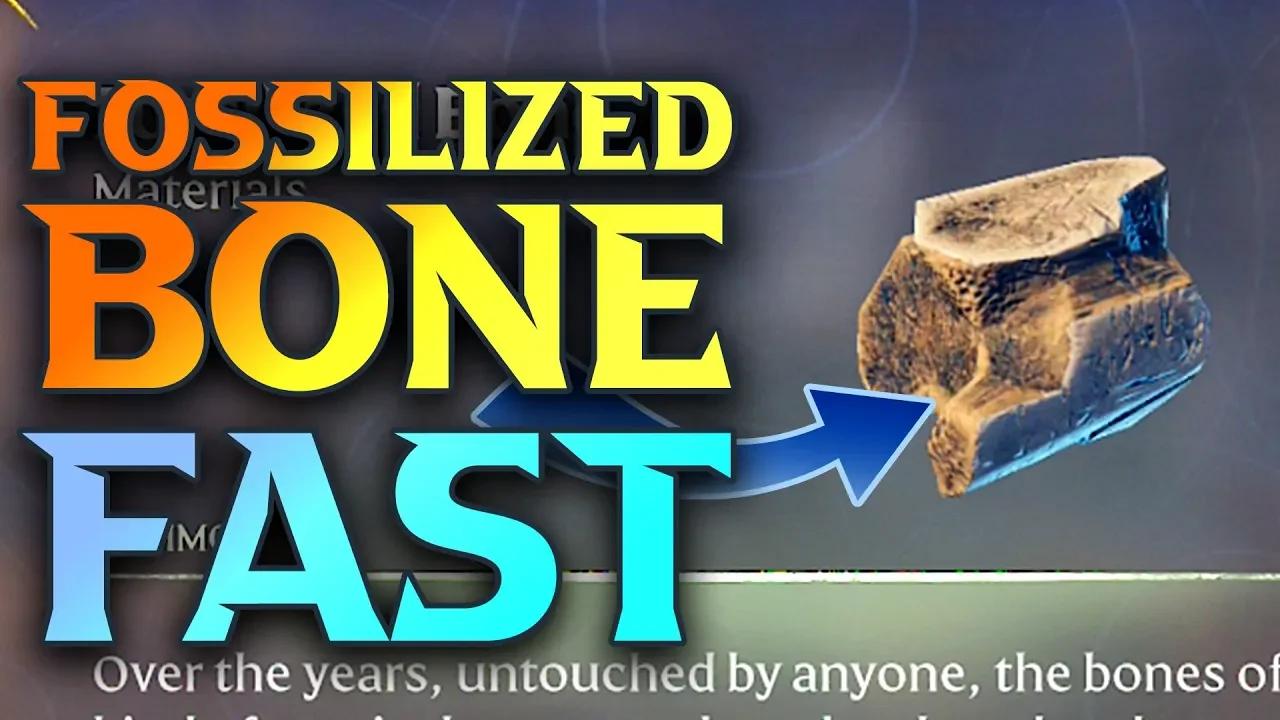 Enshrouded Fossilized Bone Location