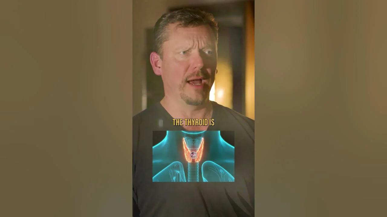 Synthetic Thyroid Replacements