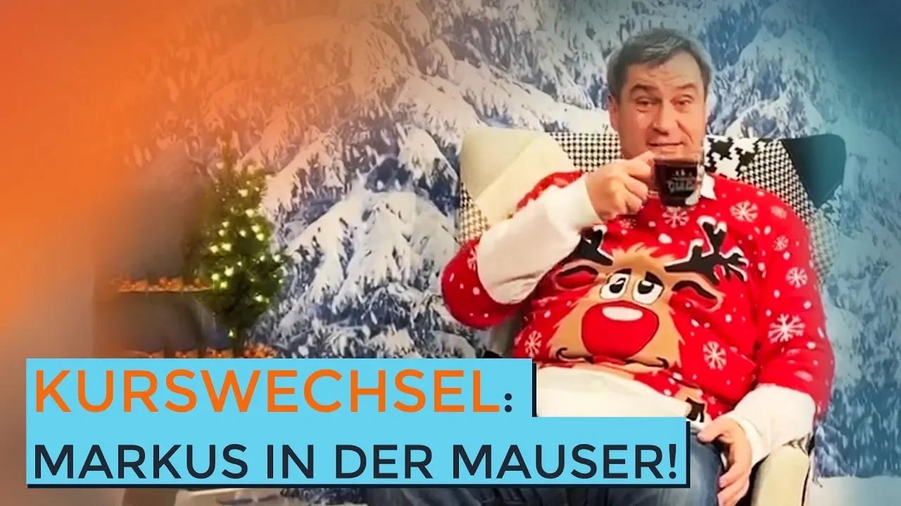 Kurswechsel: Markus in der Mauser!