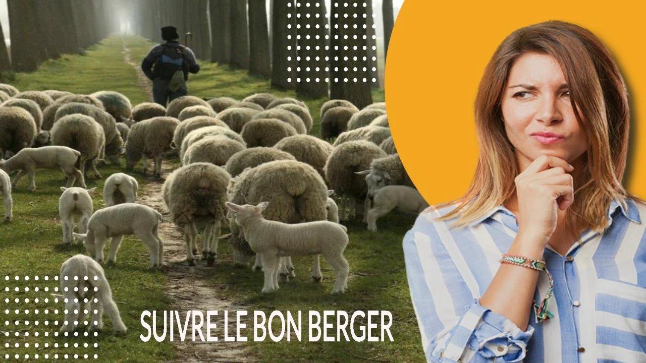 Suivre le Bon Berger.