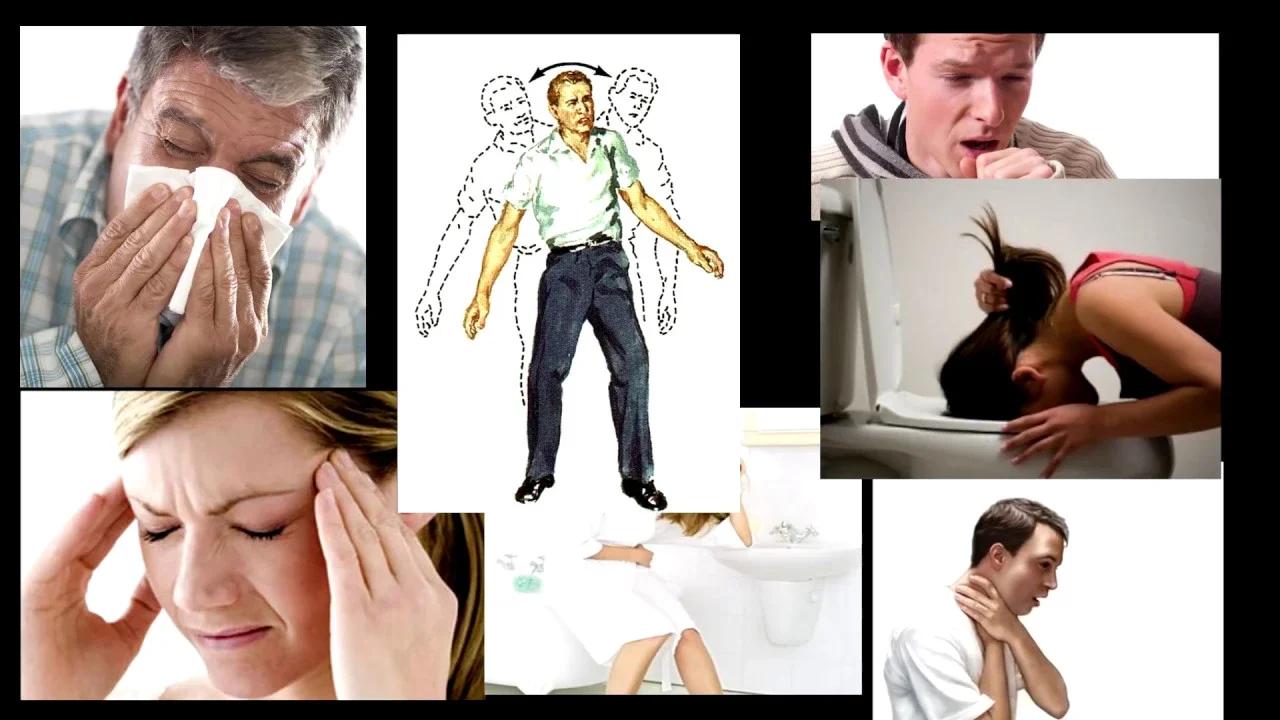 TOP 10 VENENOS MÁS LETALES DEL MUNDO