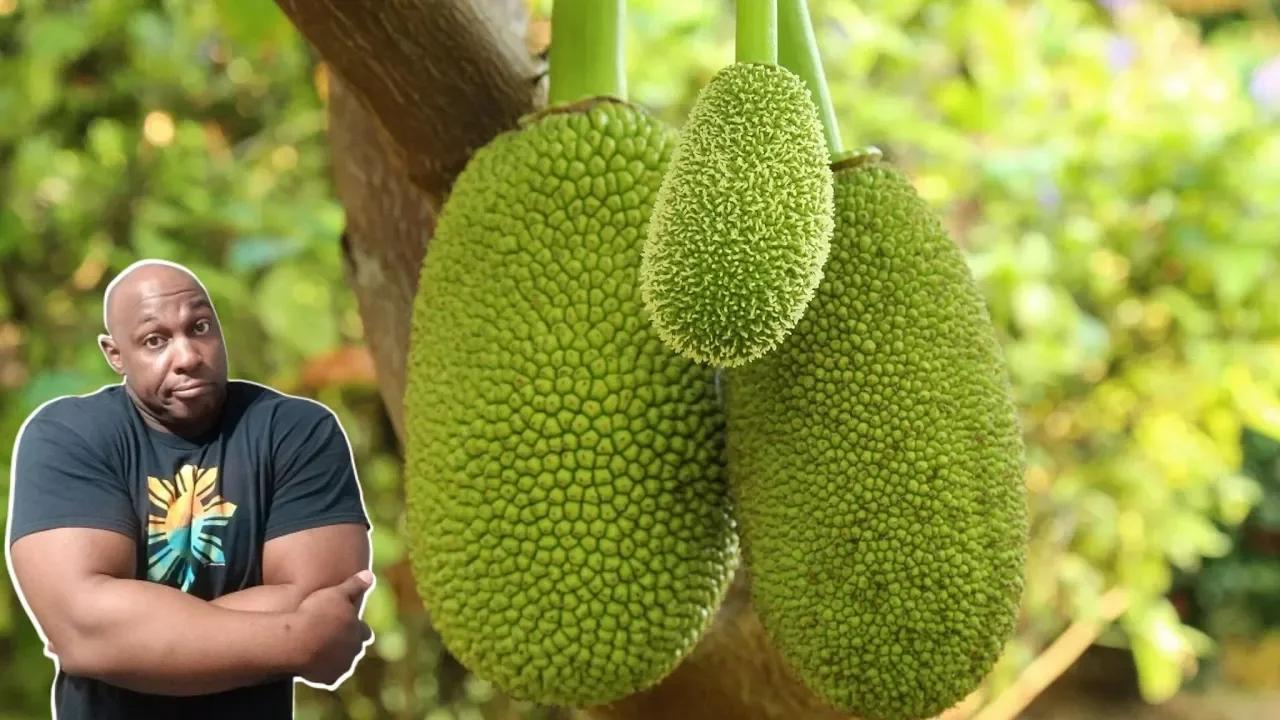 Should YOU Be Eating Jackfruit?