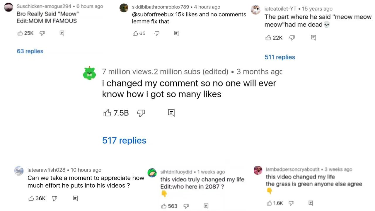 Literally Every Big Comment Section Ever