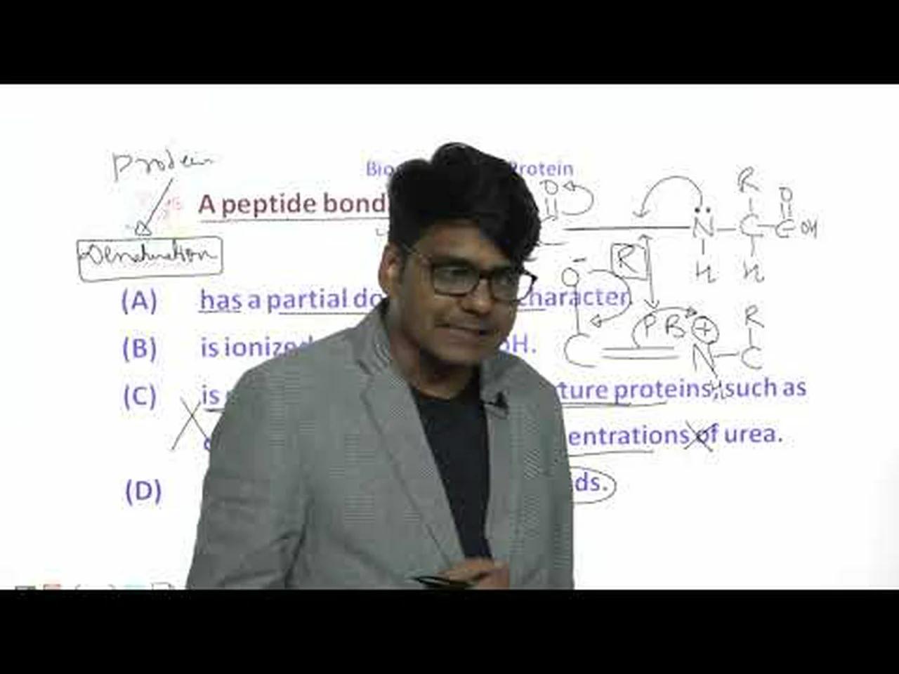 Protein Questions and Answer Video Solution. Protein Digestions ...